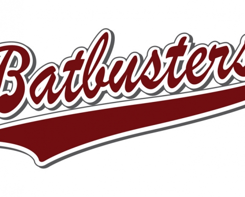 Teams-Travel ball – First Choice Softball